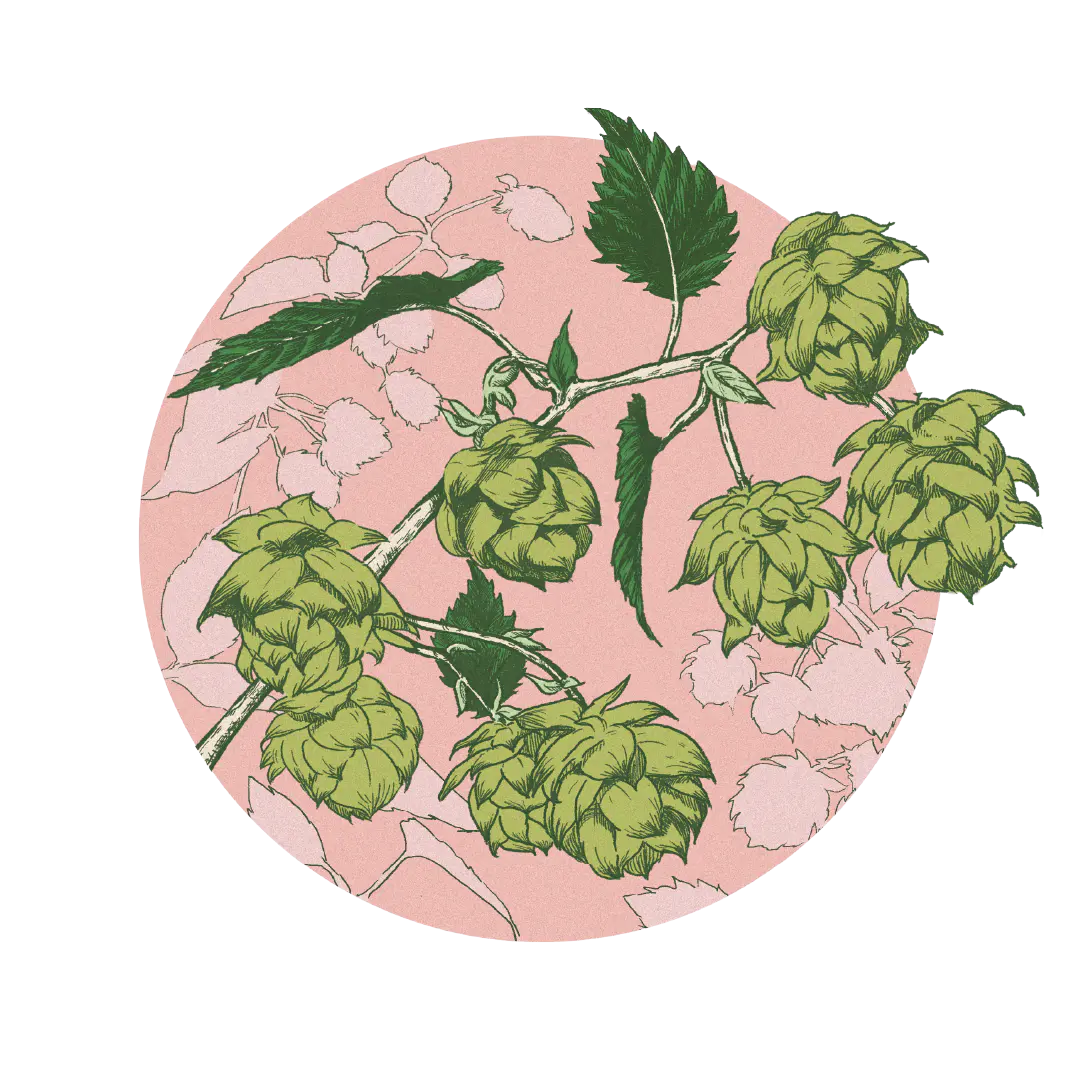 ビター＆トロピカル - CHILL GREEN 特設サイト - 濵田酒造 - 濵田酒造